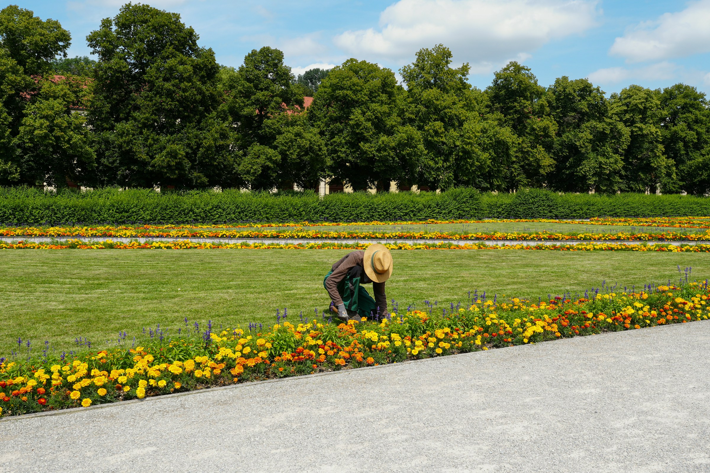 Supreme Turf Masters Website Design